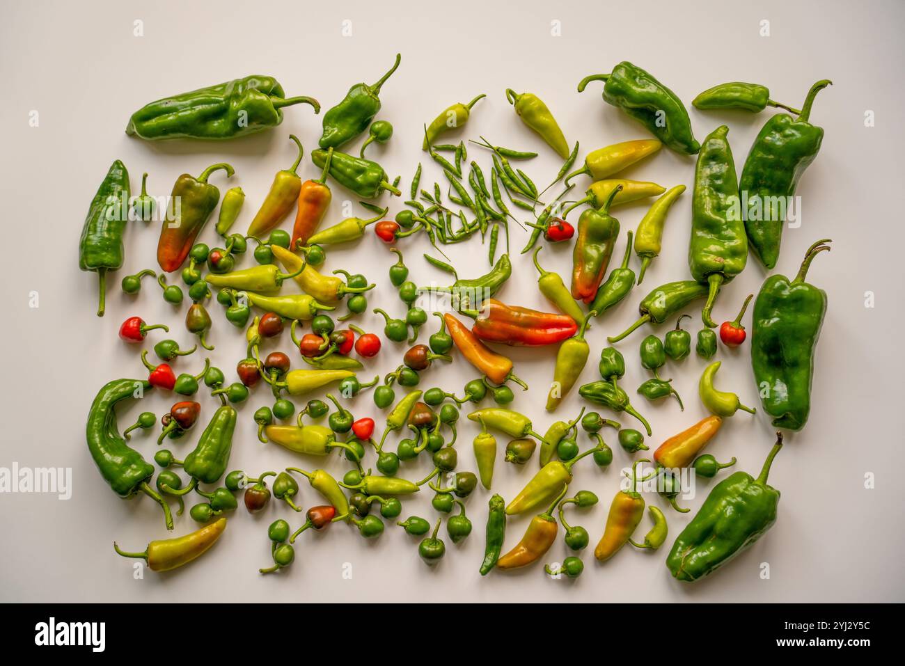 Collection of various kinds of peppers Stock Photo - Alamy