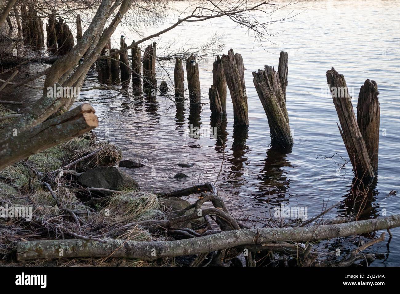 Rotted wooden pier hi-res stock photography and images - Alamy