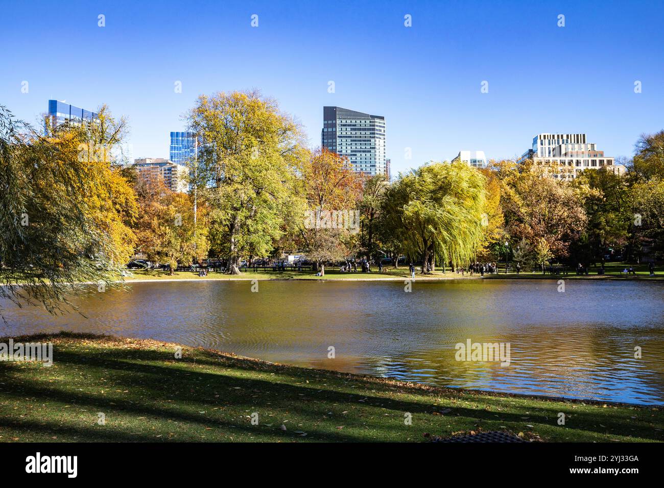Boston Common on a sunny day during Fall November 2024 Stock Photo - Alamy