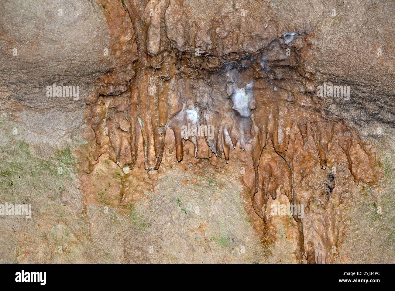 The Ledenika Cave in Bulgaria Stock Photo - Alamy