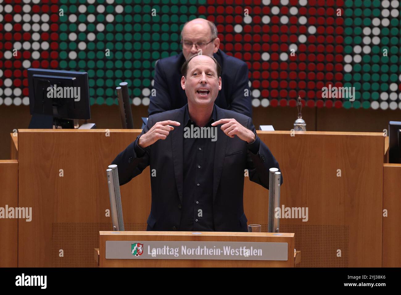 13 November 2024, North Rhine-Westphalia, Duesseldorf: Stefan Engstfeld ...