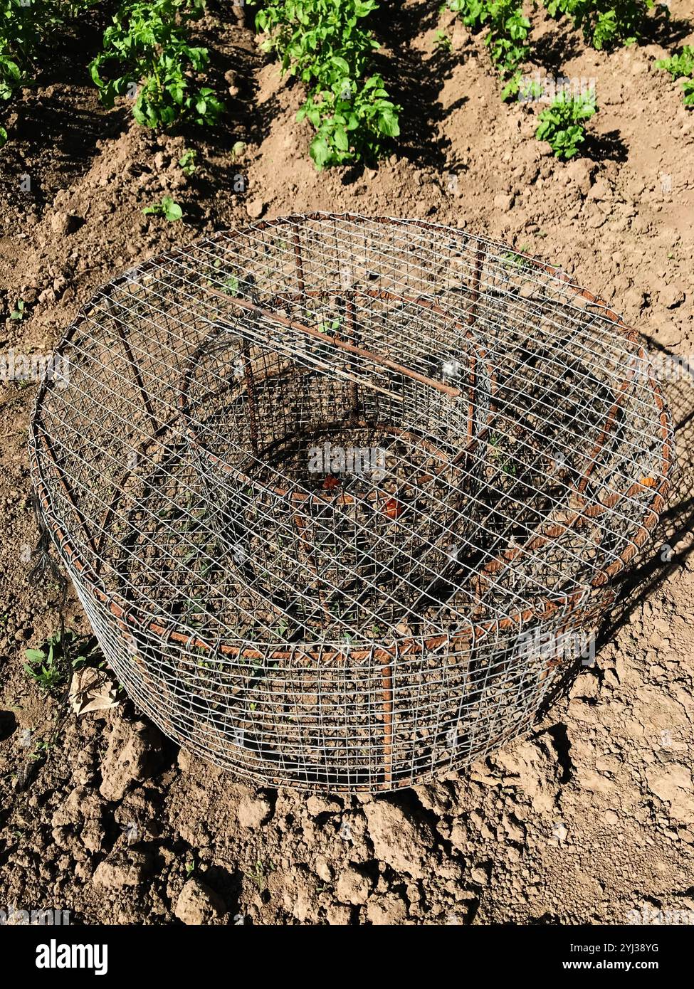 Backyard composting sustainable gardening hi-res stock photography and ...