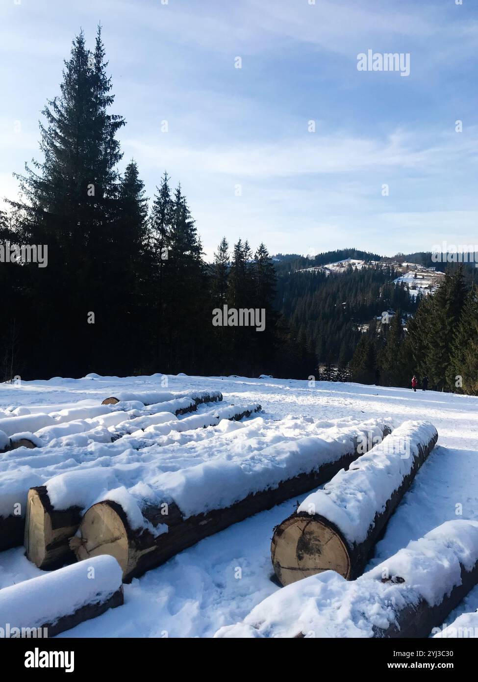 A peaceful winter scene with logs blanketed in snow near a forest. The ...
