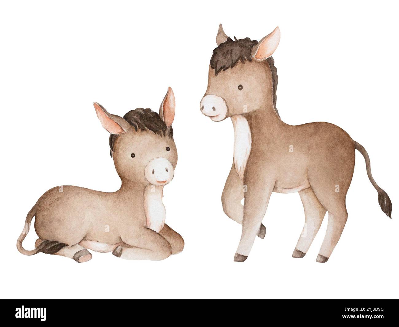 Watercolor Donkey Illustrations, Baby Donkey Clip Art, Cute Baby ...