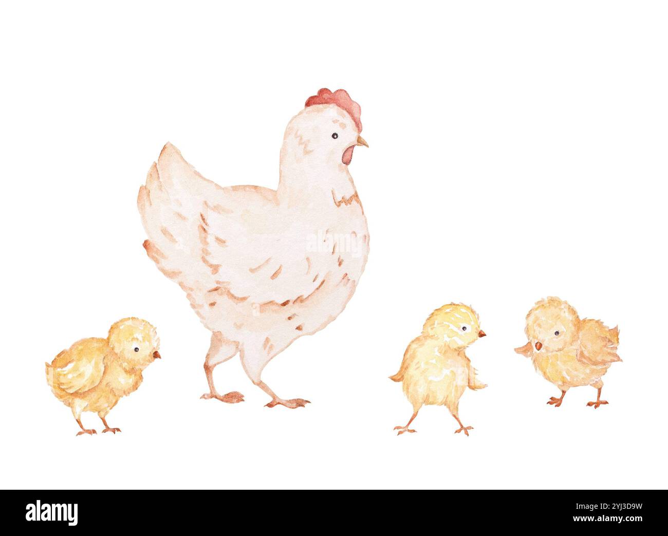 Chicken with Chickens Watercolor Clipart, Baby Chick Watercolor ...