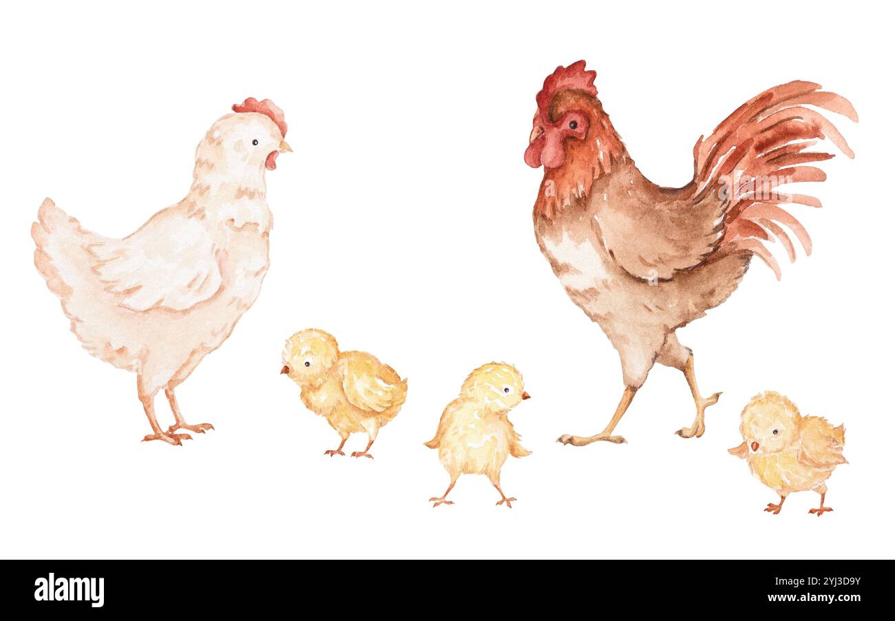 Chickens Watercolor Clipart, Baby Chick Watercolor Illustration ...