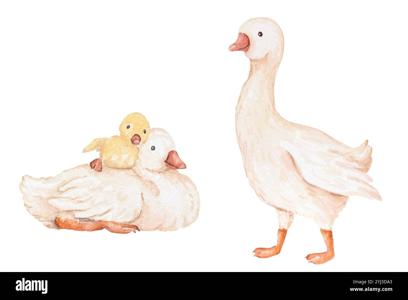 Geese And Duck Clip Art