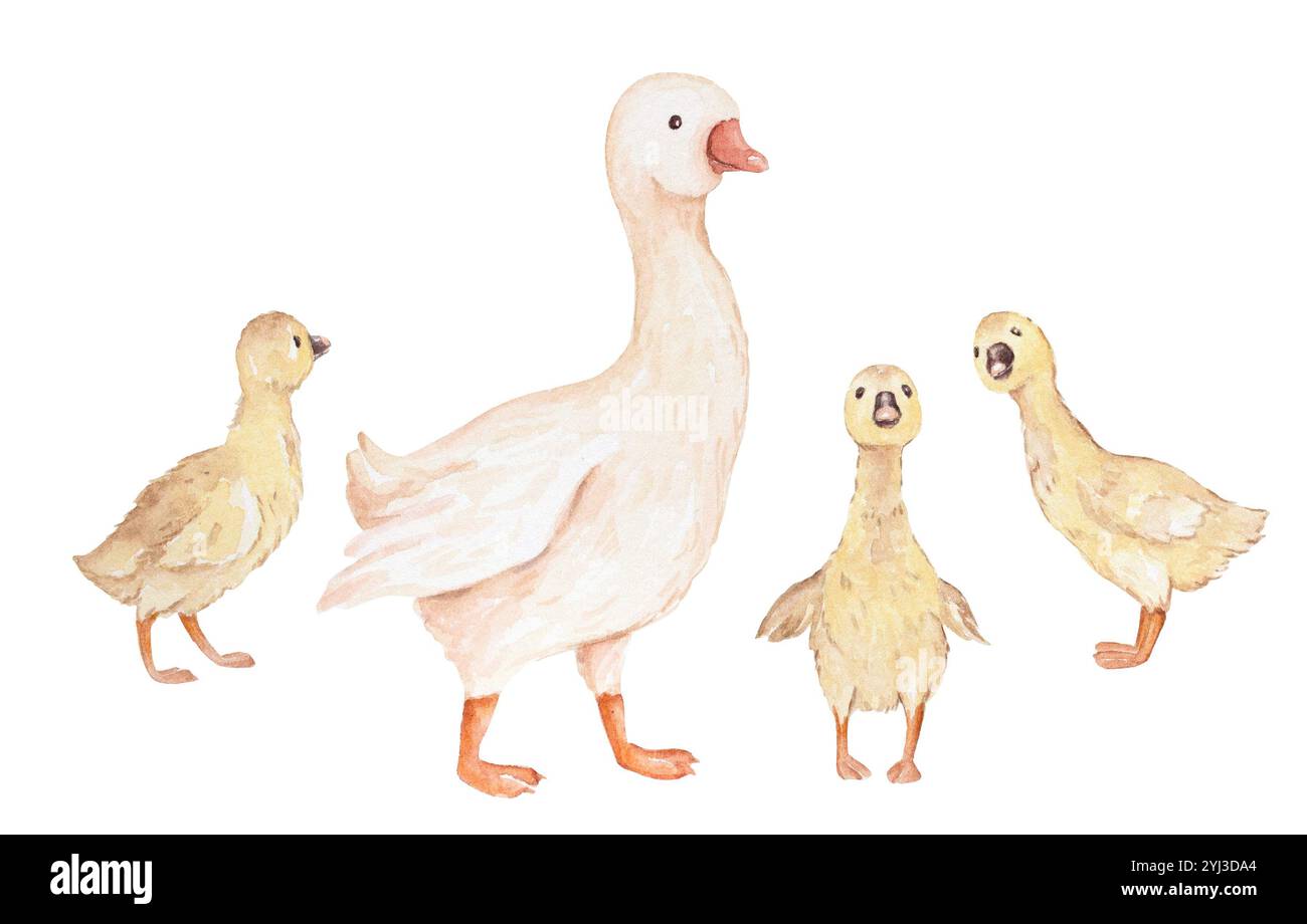 Goose watercolor clip art hi-res stock photography and images - Alamy