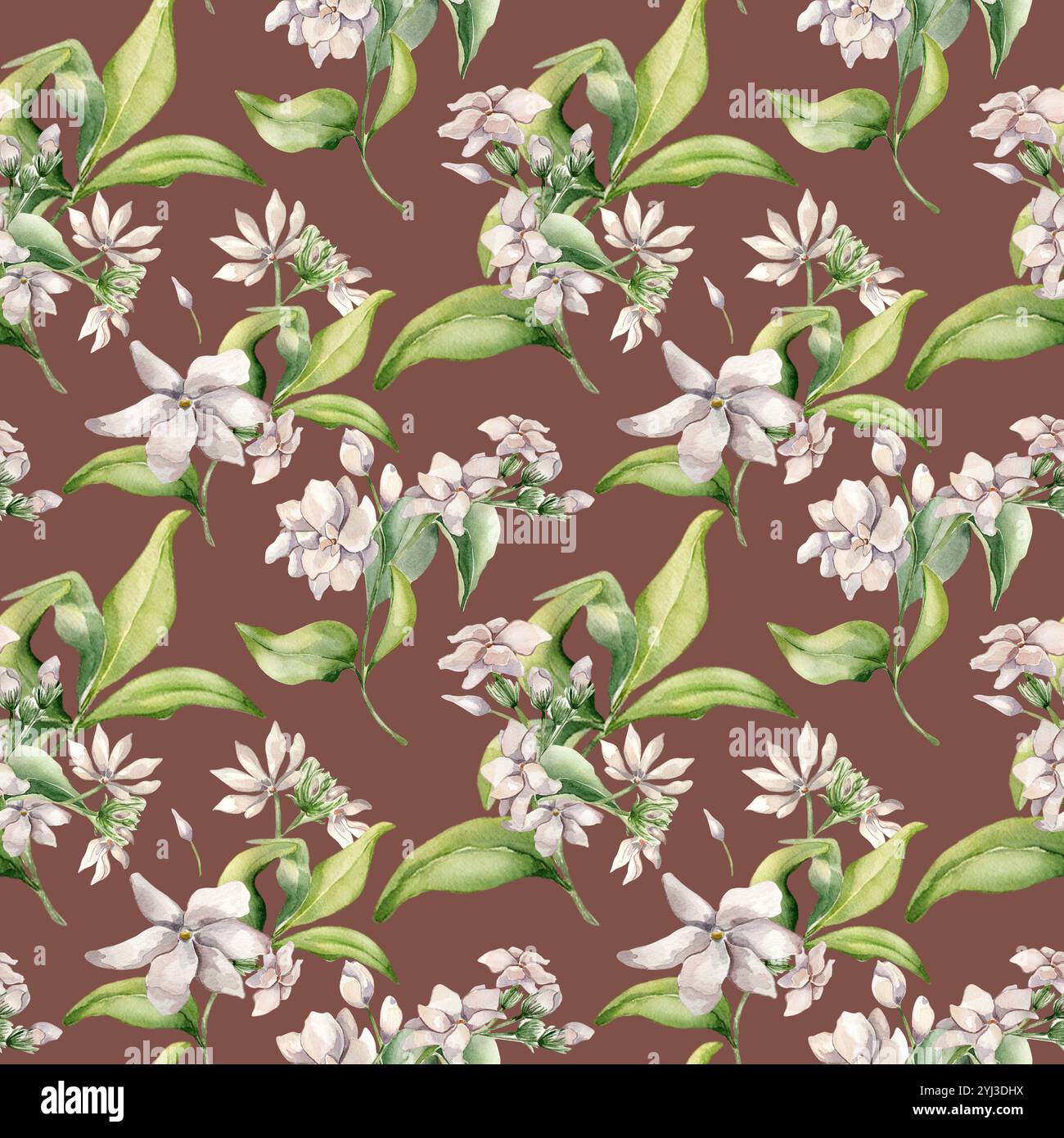 Watercolor seamless pattern of jasmine bunch, buds, leaves isolated ...
