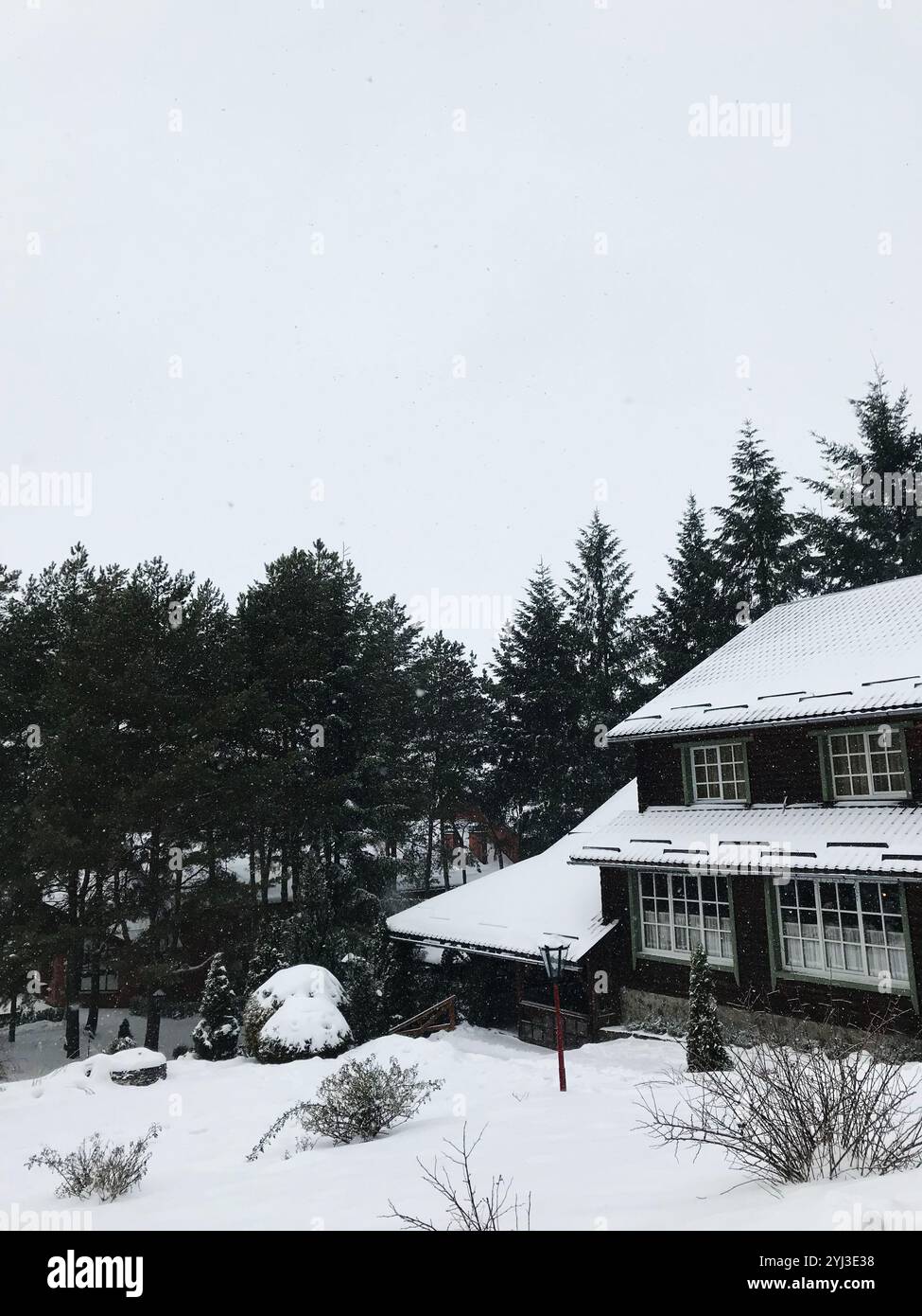 A serene winter scene featuring a snow-covered cabin surrounded by tall ...