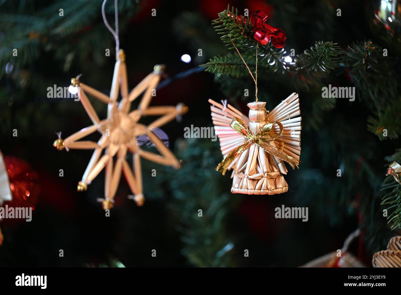 Engelskirchen, Germany. 13th Nov, 2024. Straw angels and stars hang in ...