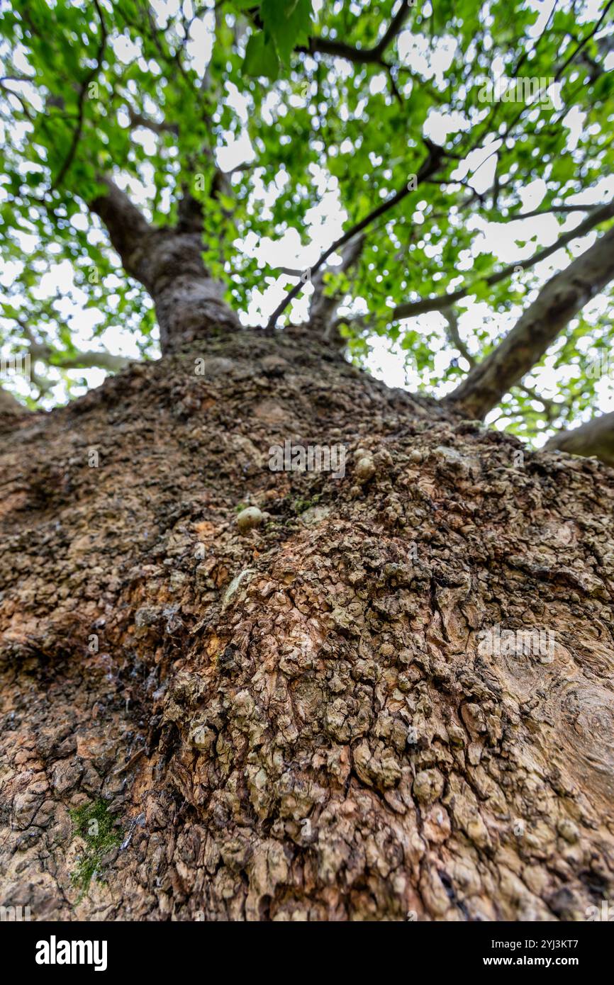 Canterbury, a historic town in Kent, southeastern England Stock Photo ...