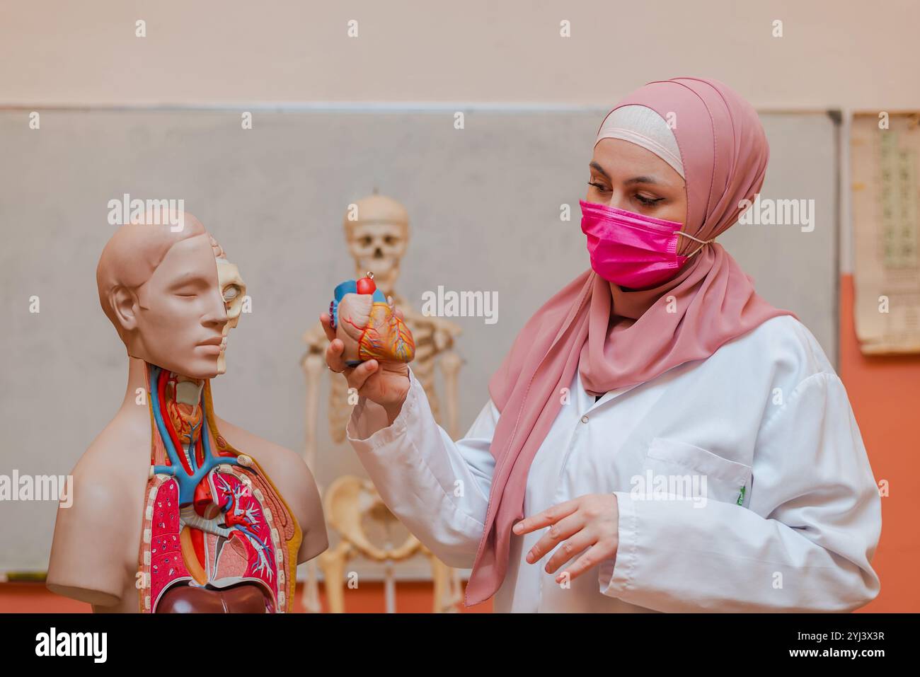 A Muslim teacher uses the human body model to explain anatomy on ...