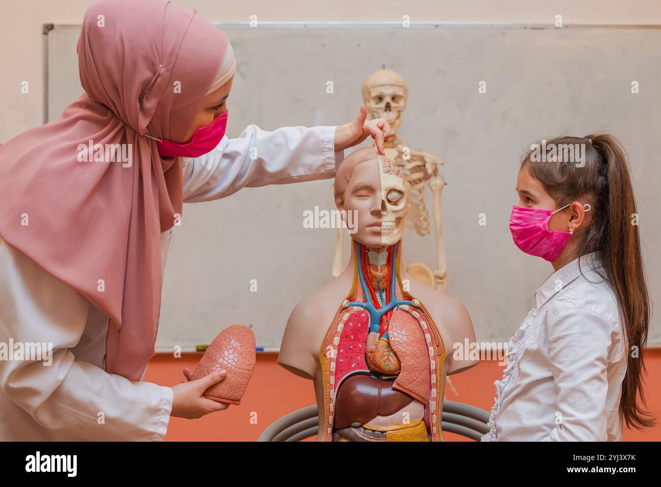 A Muslim female teacher uses the human body model to explain anatomy in ...