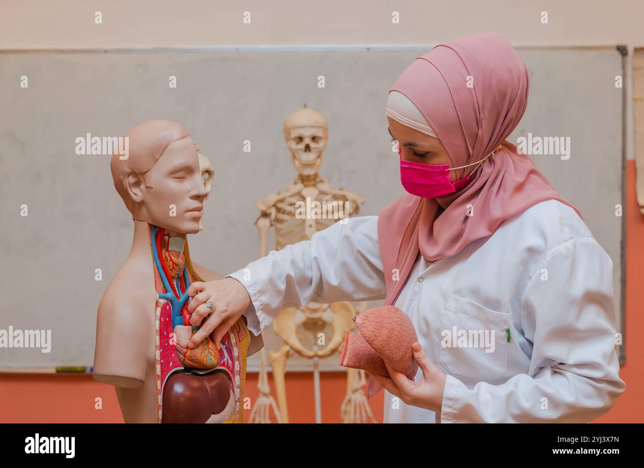 A Muslim teacher uses the human body model to explain anatomy on ...