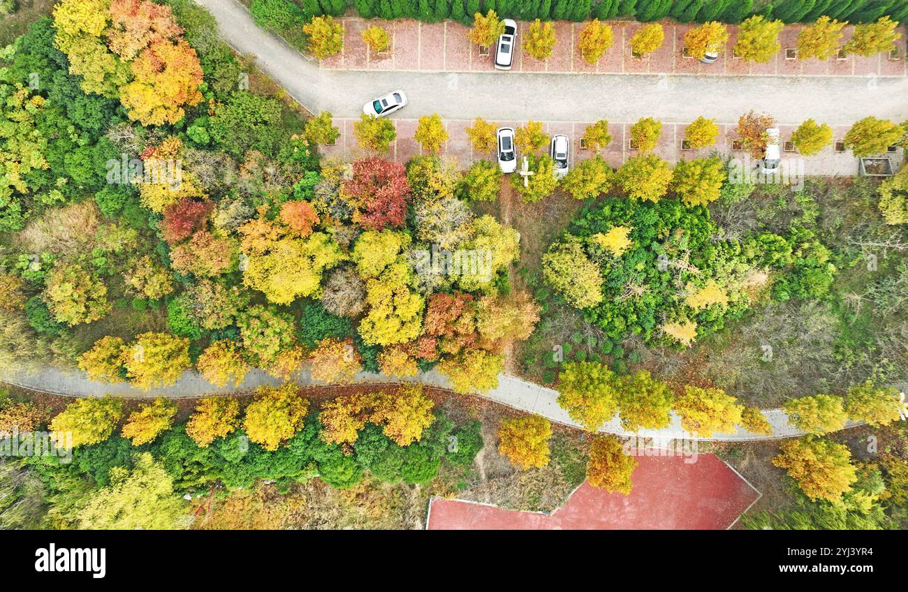 Linyi. 12th Nov, 2024. An aerial drone photo taken on Nov. 12, 2024 ...