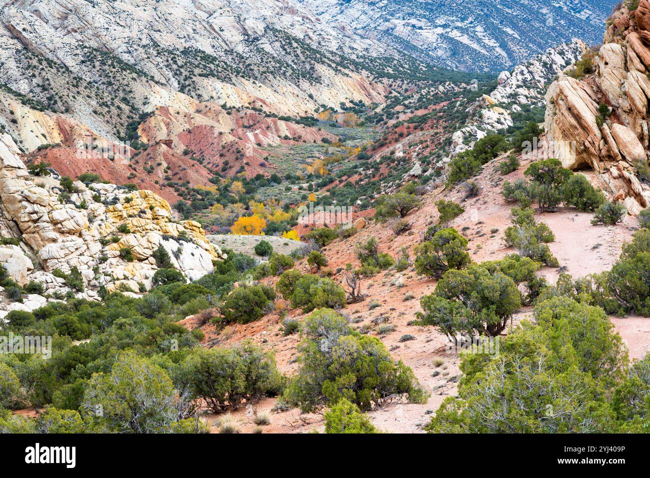 Sedimentary rocks pushed out of the earth's crust showing numerous ...