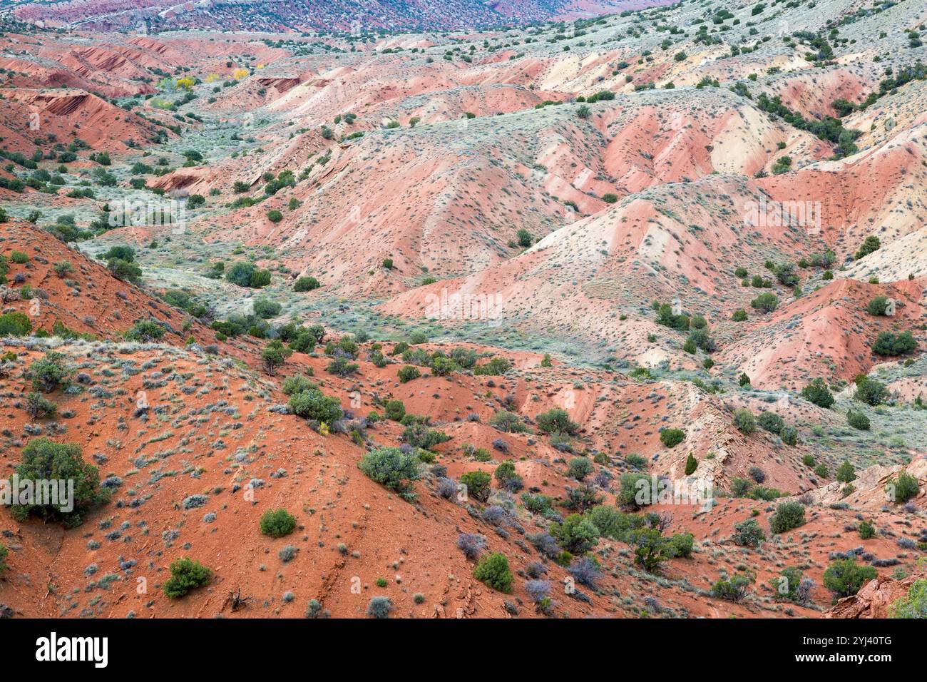 Gully erosion drainage hi-res stock photography and images - Alamy