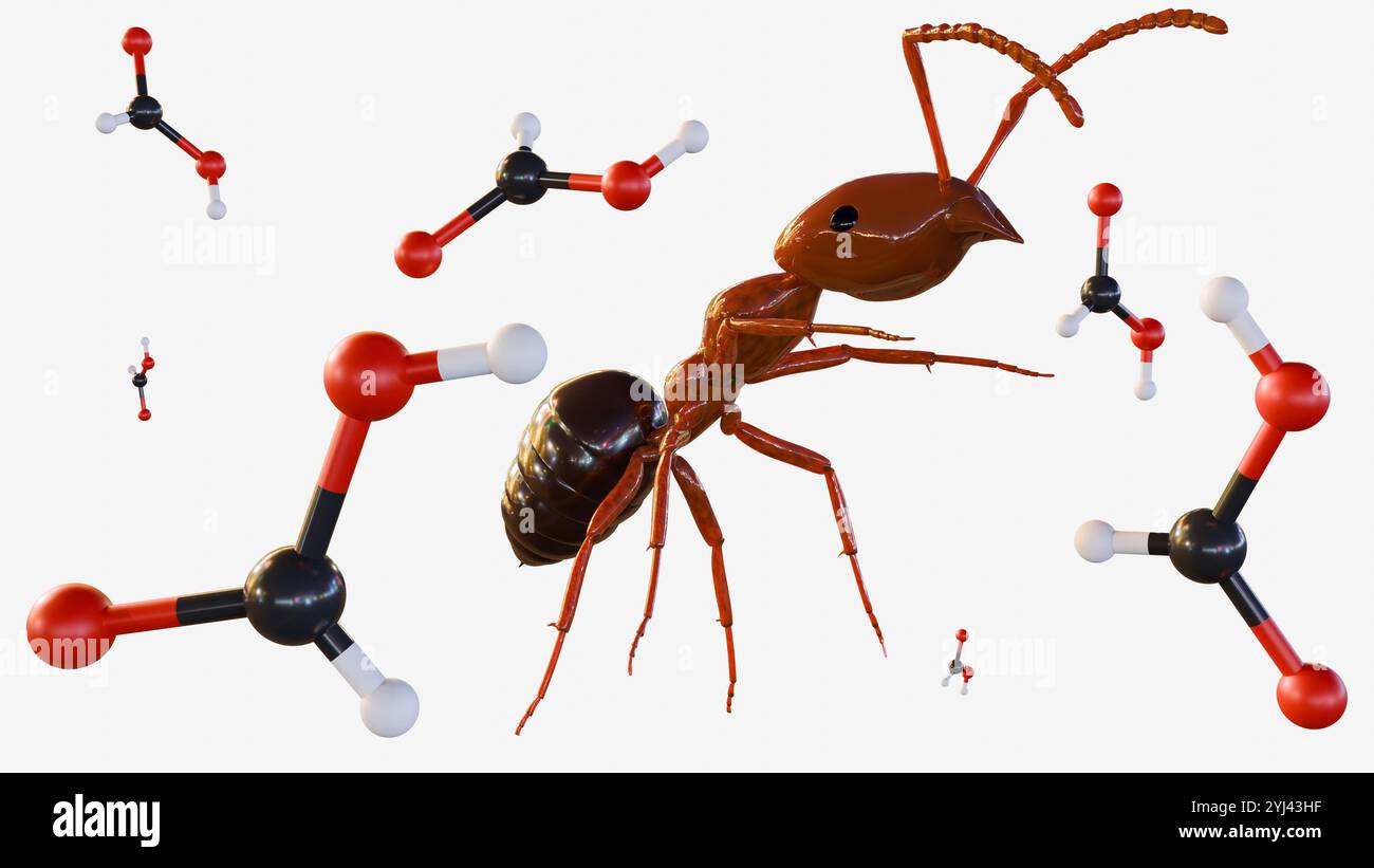 Formic acid molecule Cut Out Stock Images & Pictures - Alamy