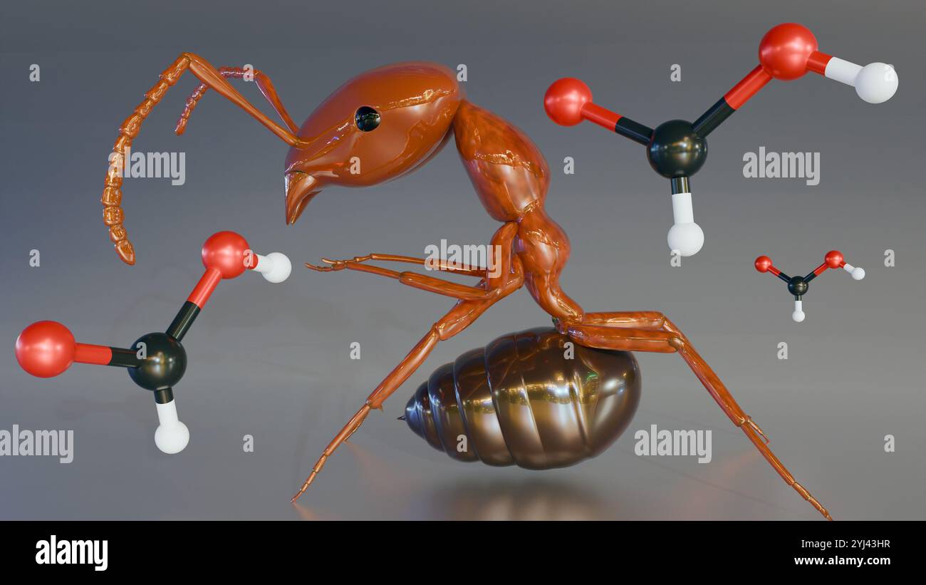 3d rendering of Formica rufa or red wood ant, it can spray a powerful ...