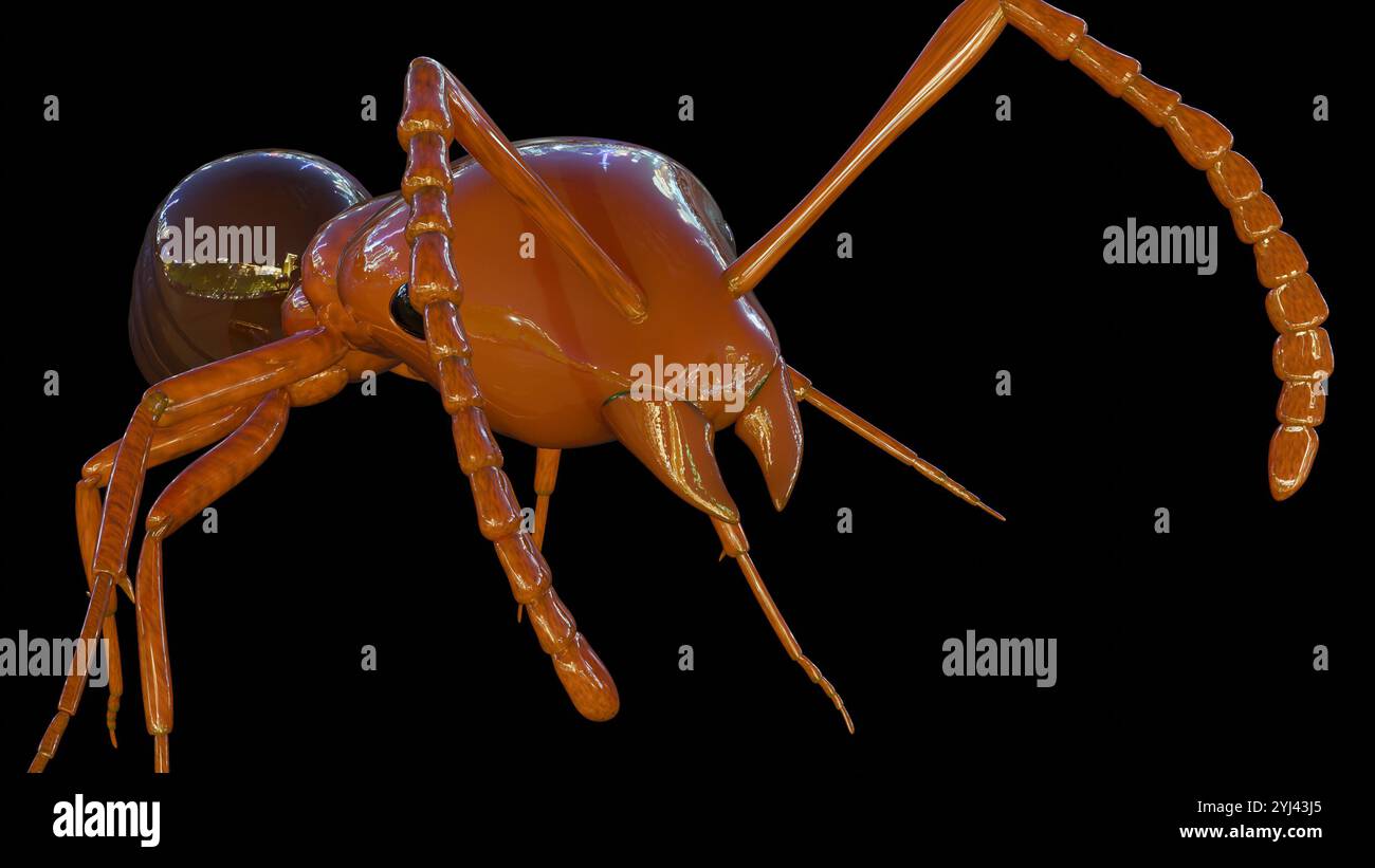 3d rendering of Formica rufa is a species of ant commonly known as the ...