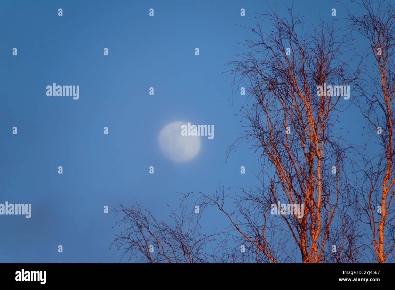 Full moon in night fog hi-res stock photography and images - Alamy