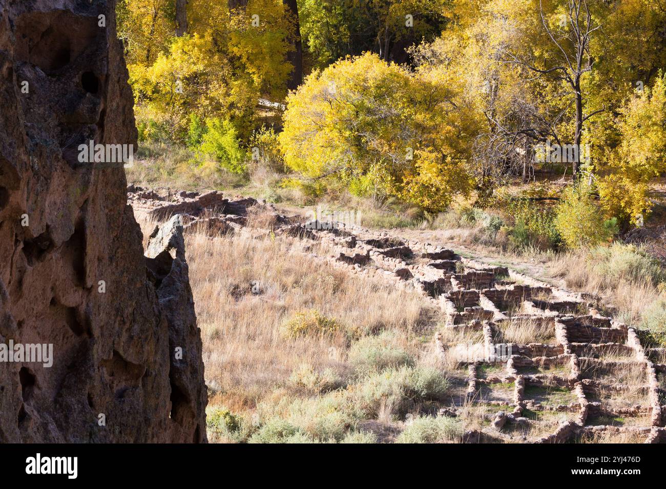 The Tyuonyi Pueblo and fall colors below a tuff cliff, Bandelier ...