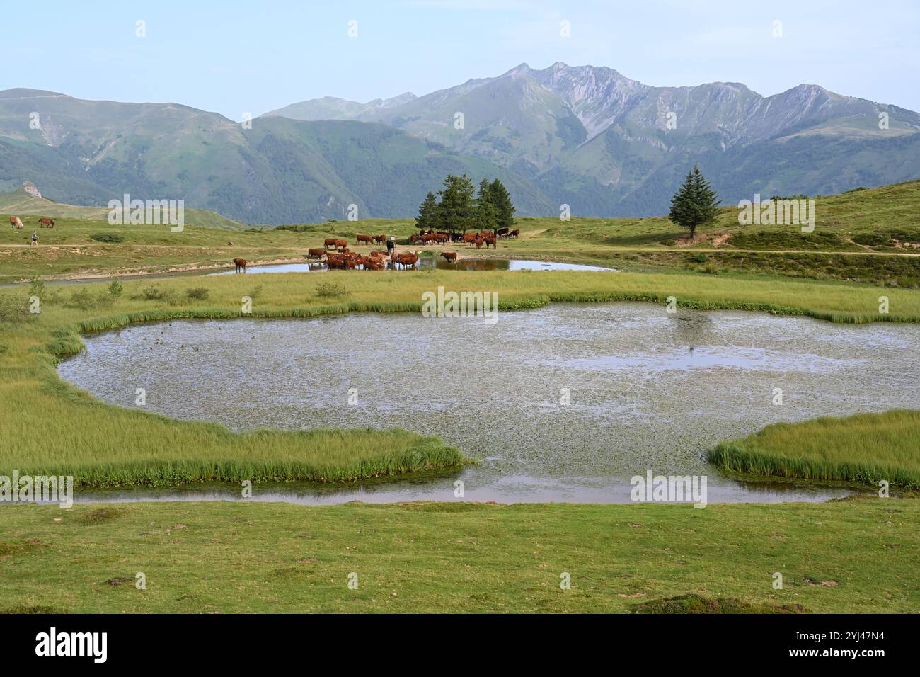 Ouzom valley hi-res stock photography and images - Alamy
