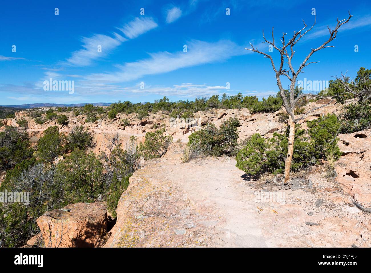 The Tsankawi Ruins Trail leading along a tuff cliff, Bandelier National ...