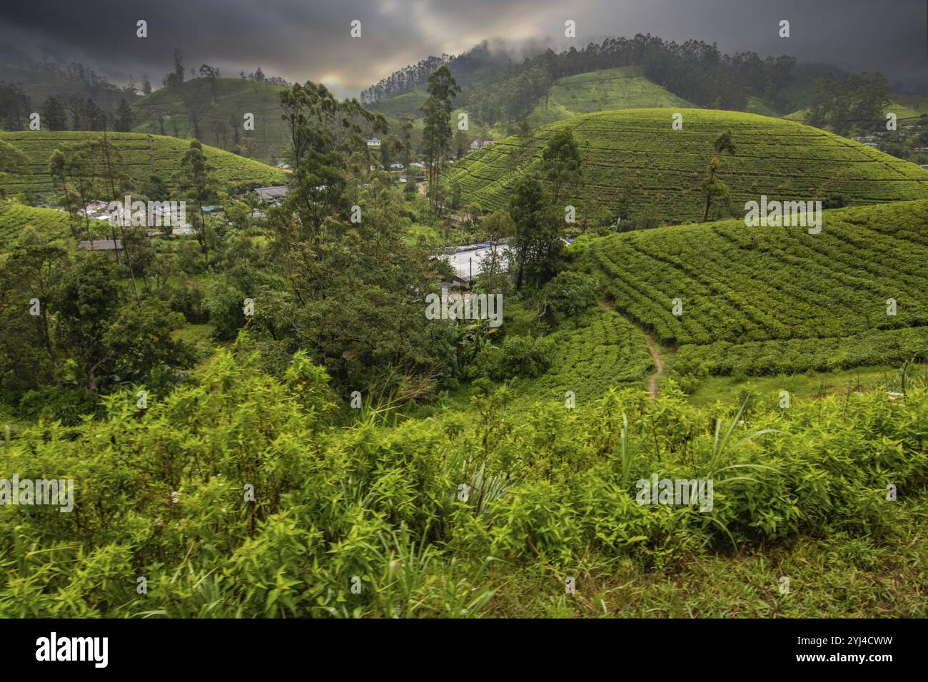Landscape photography in the fertile highlands in a subtropical climate ...