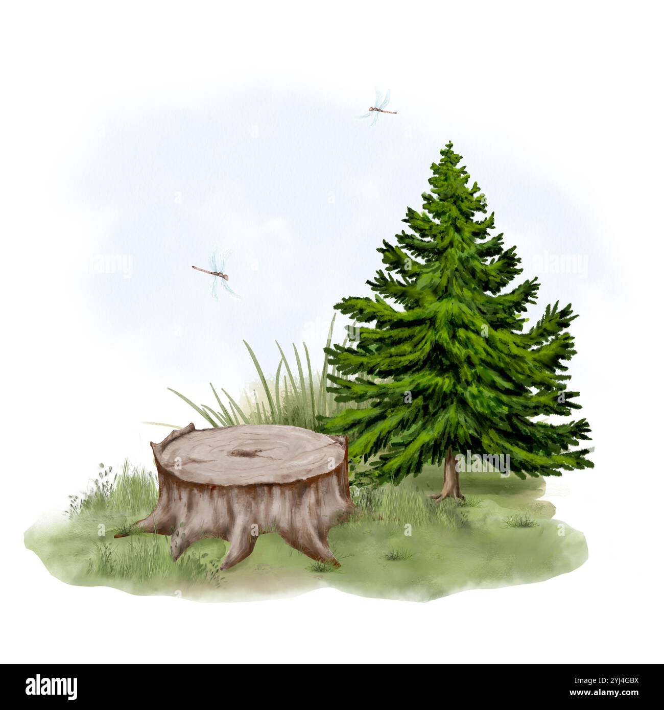 Green lawn trees in Cut Out Stock Images & Pictures - Alamy