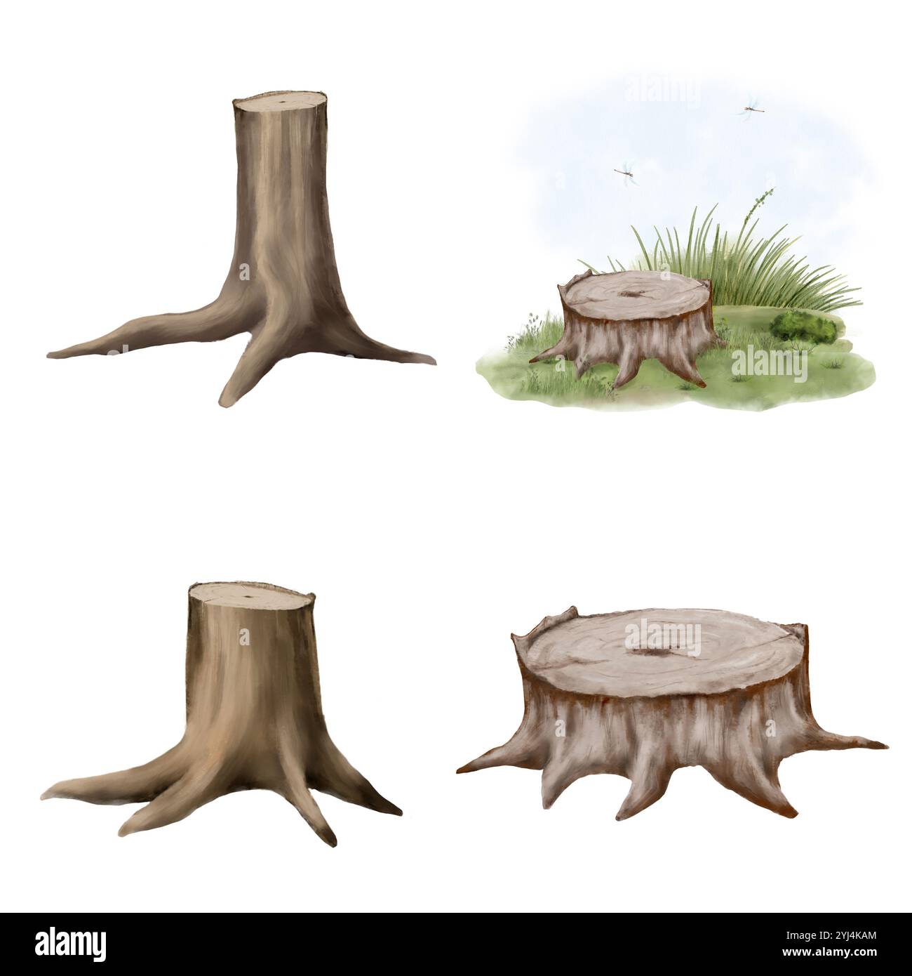 Tree stump in the meadow. Set of different stumps and bushes isolated ...