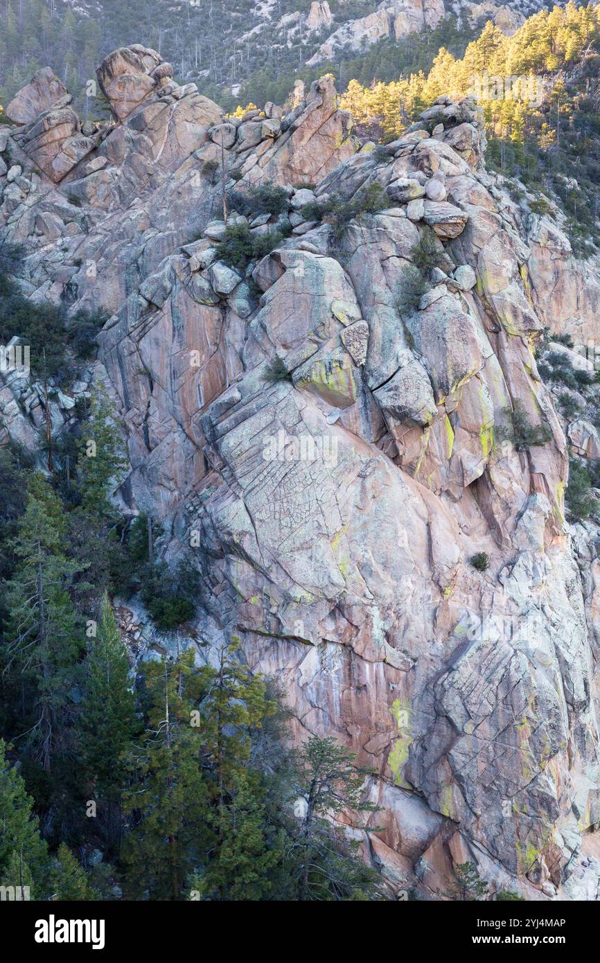 A large granite outcropping of rock breaks up the ponderosa pine forest ...