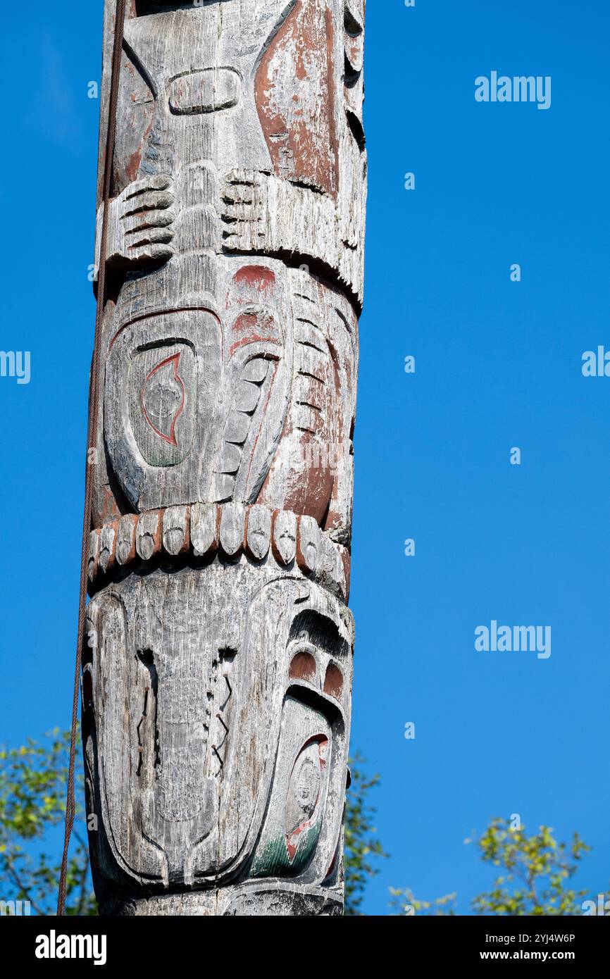 Canada, BC, off the north coast of Vancouver Island. Cormorant Island ...