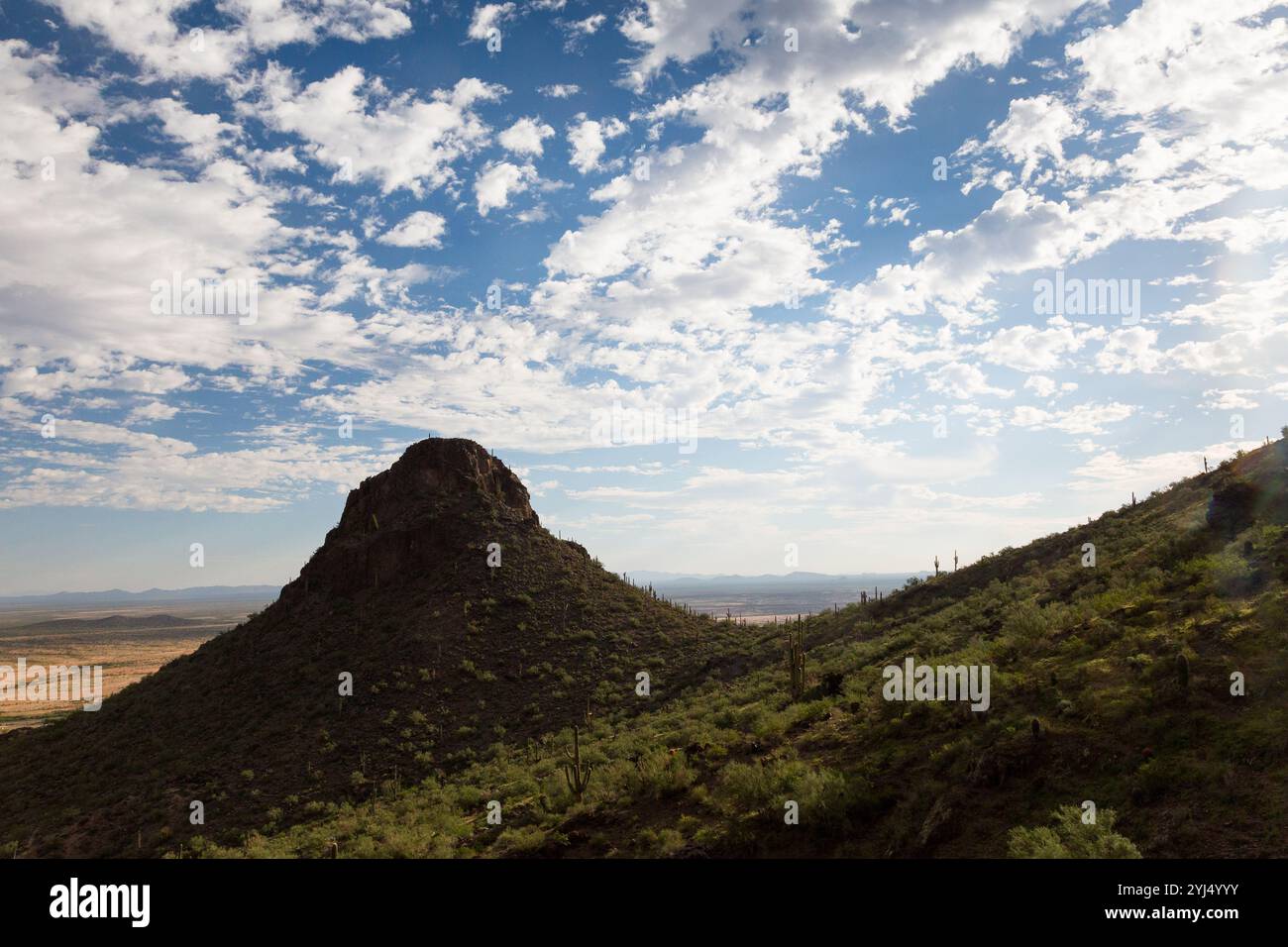 Desert vegetation scattered across the desert floor below Picacho Peak ...
