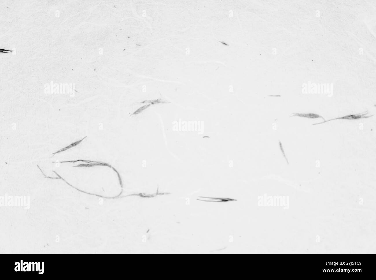 Texture of korean traditional craft paper Stock Photo - Alamy