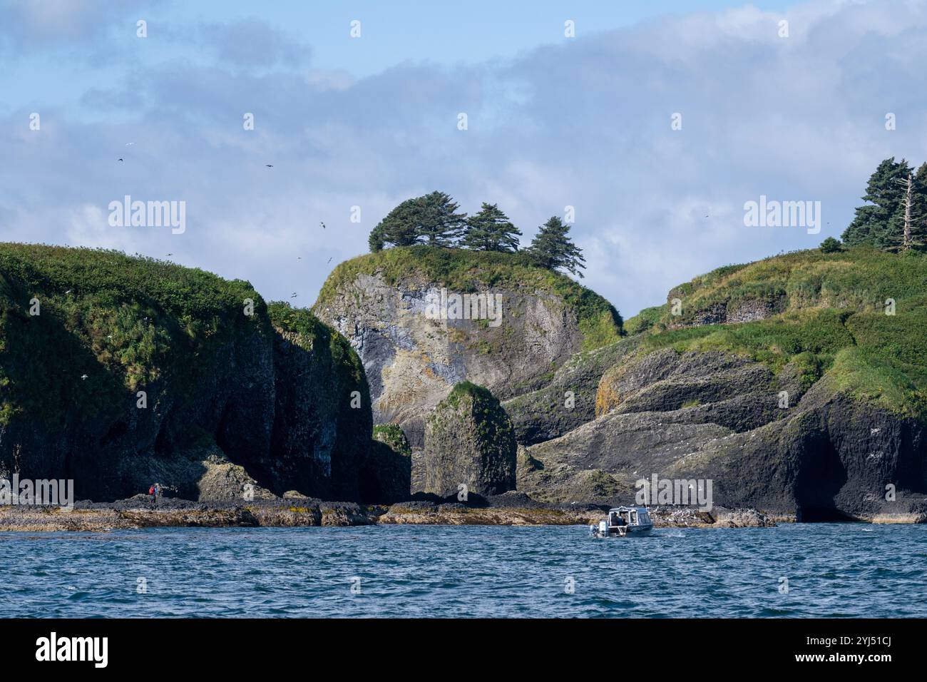 Alaska, Sitka. Alaska Maritime National Wildlife Refuge, Saint Lazaria ...