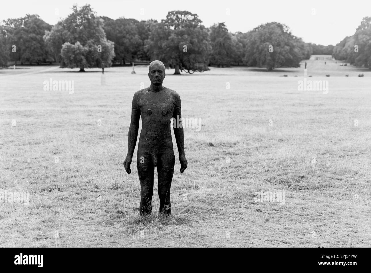 Antony Gormley exhibition called Time Horizon at Houghton Hall, King's ...
