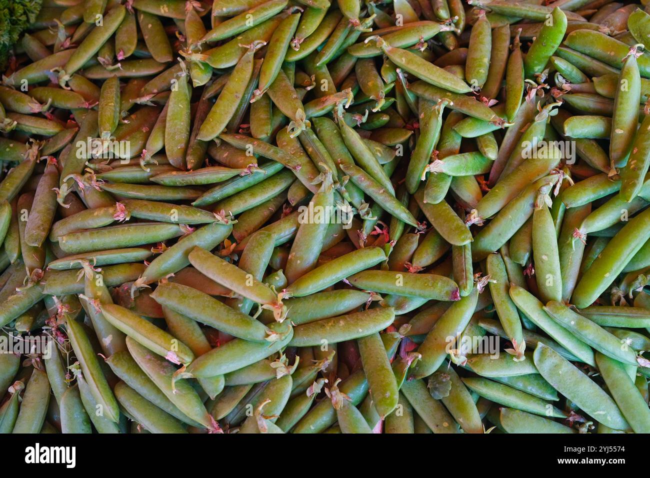 Pile of peas hi-res stock photography and images - Alamy