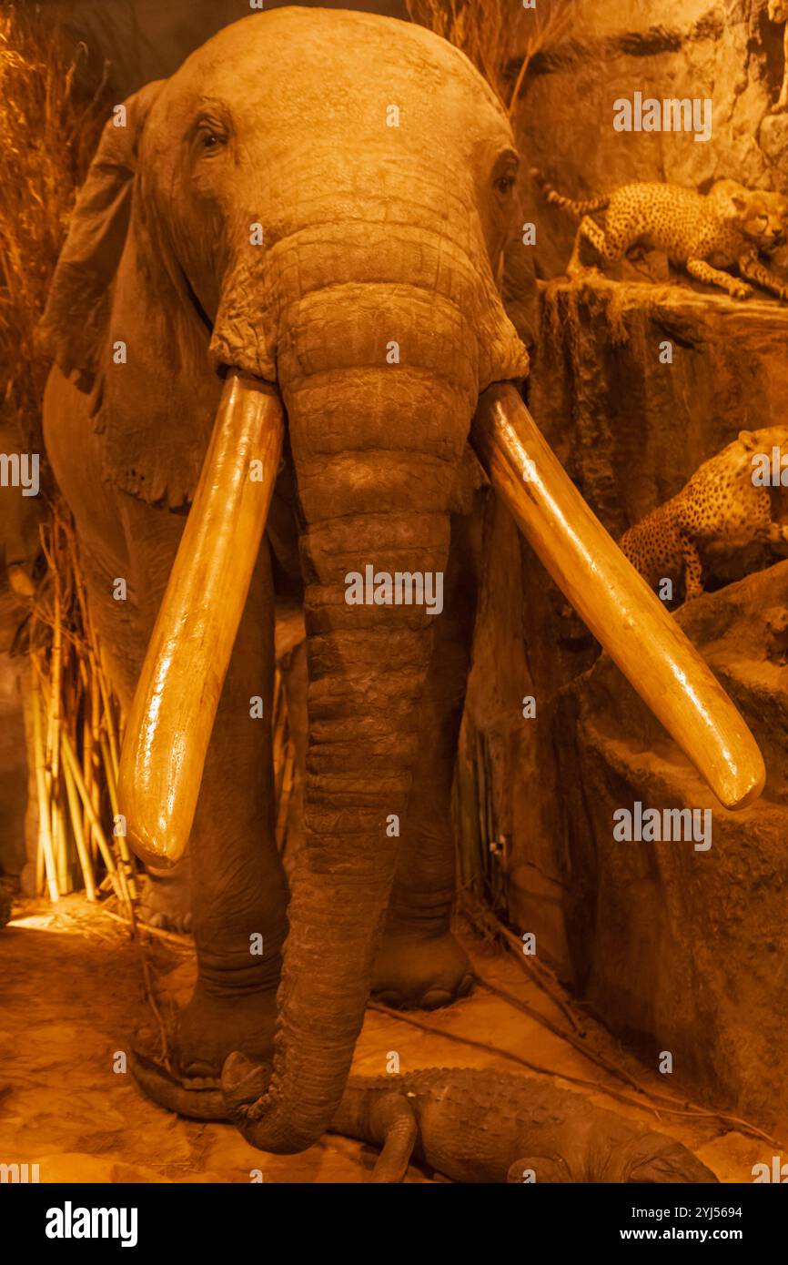 England, Kent, Thanet, Birchington, Quex House, The Powell-Cotton ...