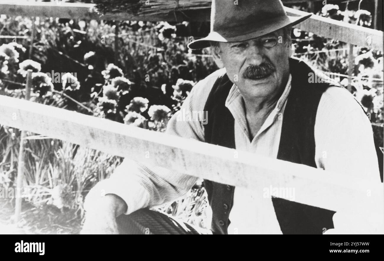 MANON OF THE SPRING (1986) -Original title: MANON DES SOURCES ...