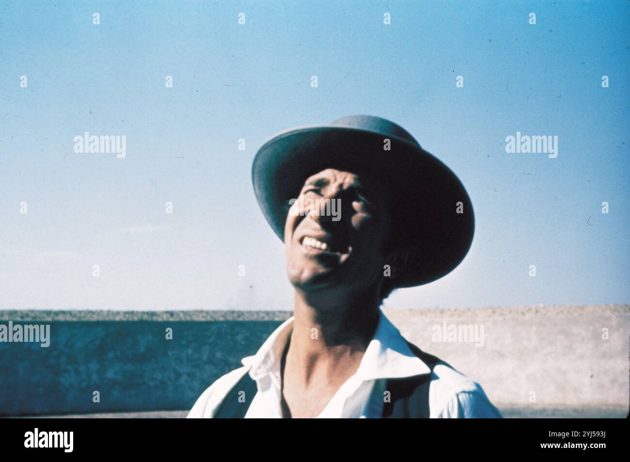 LUIS MIGUEL DOMINGUIN in THE PICASSO SUMMER (1969), directed by SERGE ...