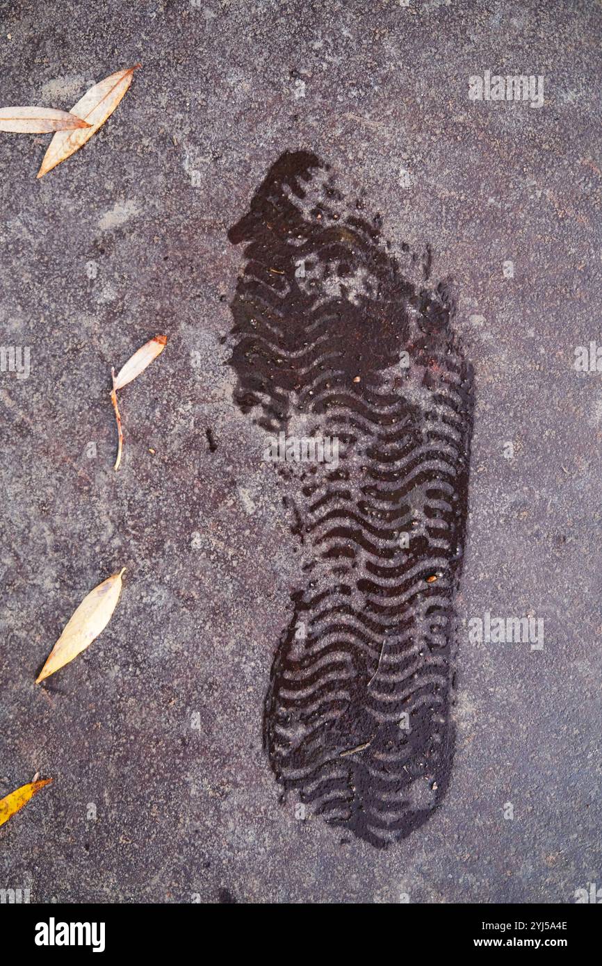 Wet shoe print on the ground Stock Photo - Alamy