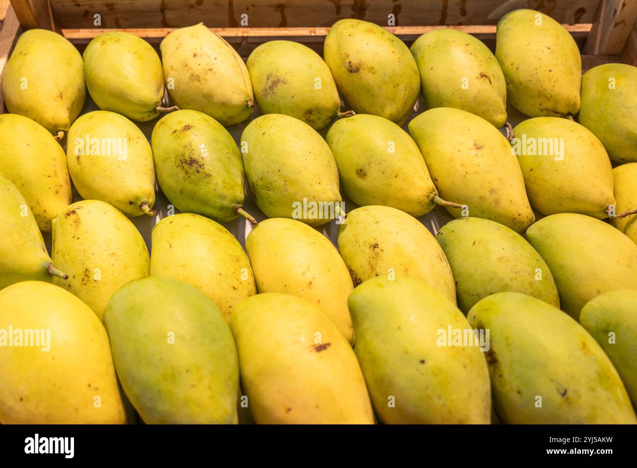 Mango graphic hi-res stock photography and images - Alamy