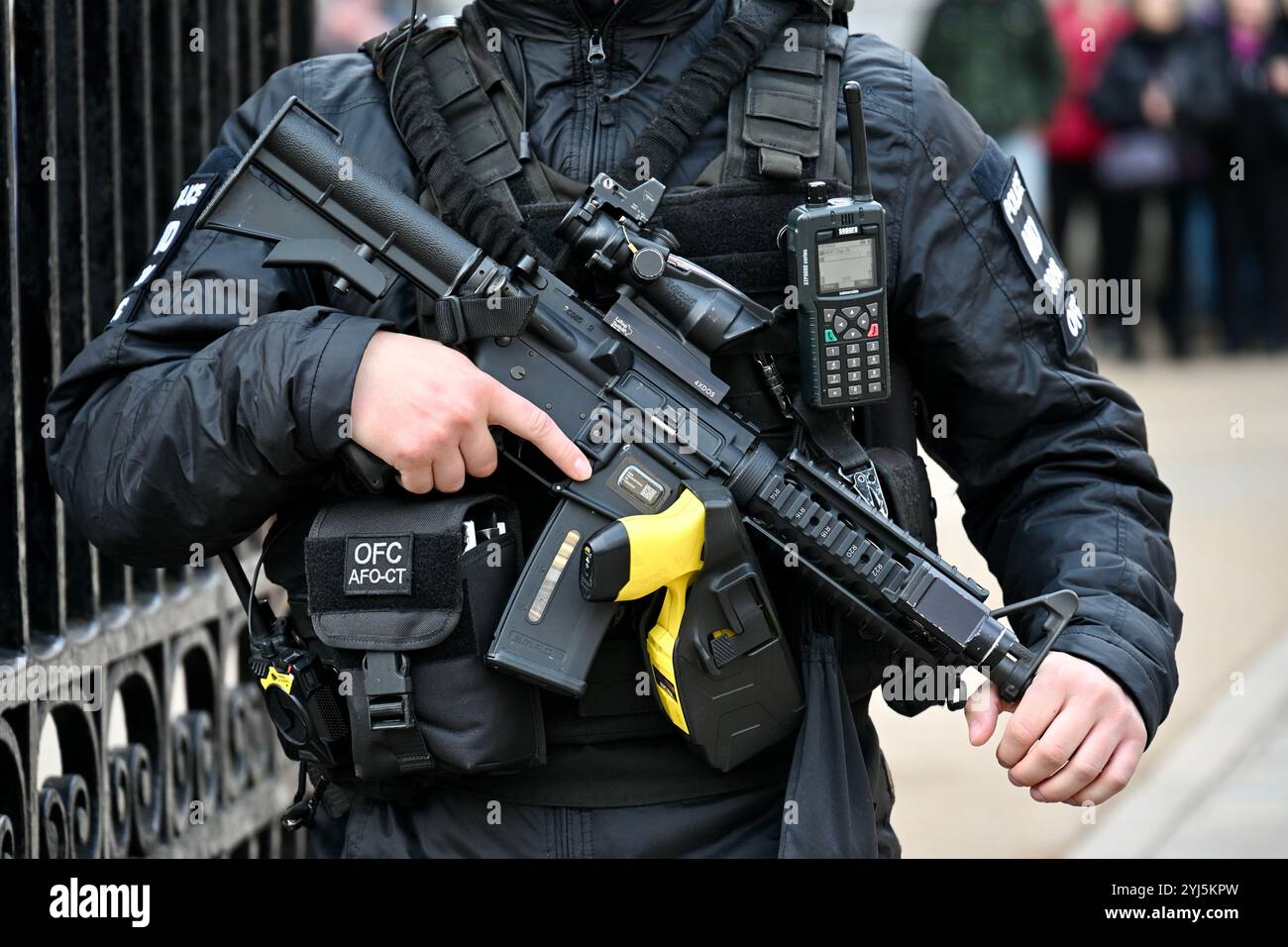 Firearms Officer (detail), Horse Guards Parade, Whitehall, London, UK ...