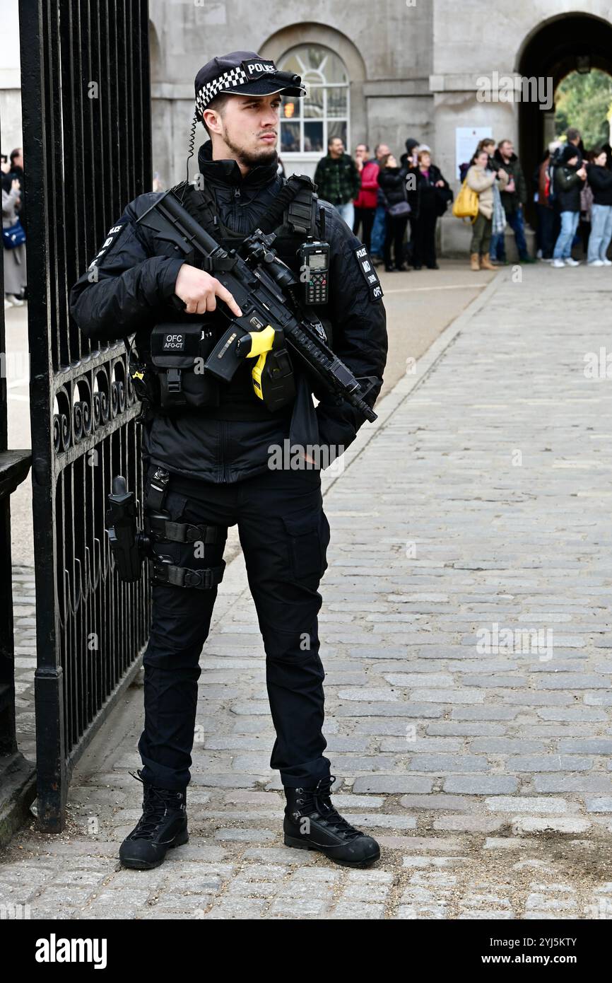 Firearms Officer, Horse Guards Parade, Whitehall, London, UK Stock Photo - Alamy