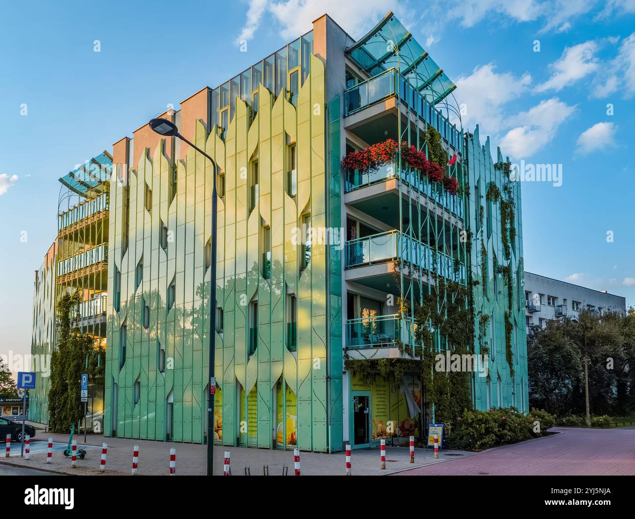 Poli gojawiczynskiej hi-res stock photography and images - Alamy