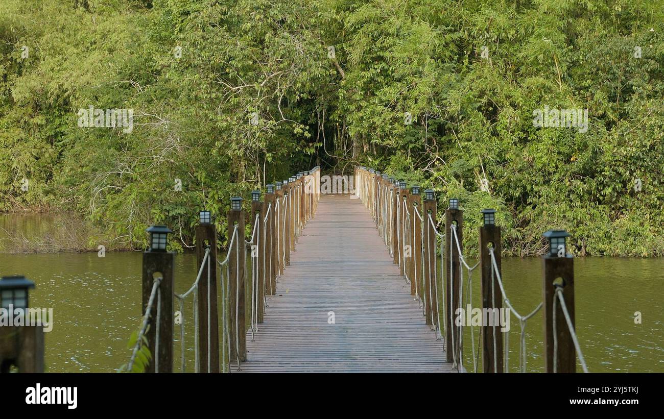 Wooden suspension bridge over calm river leading into dense green Stock ...