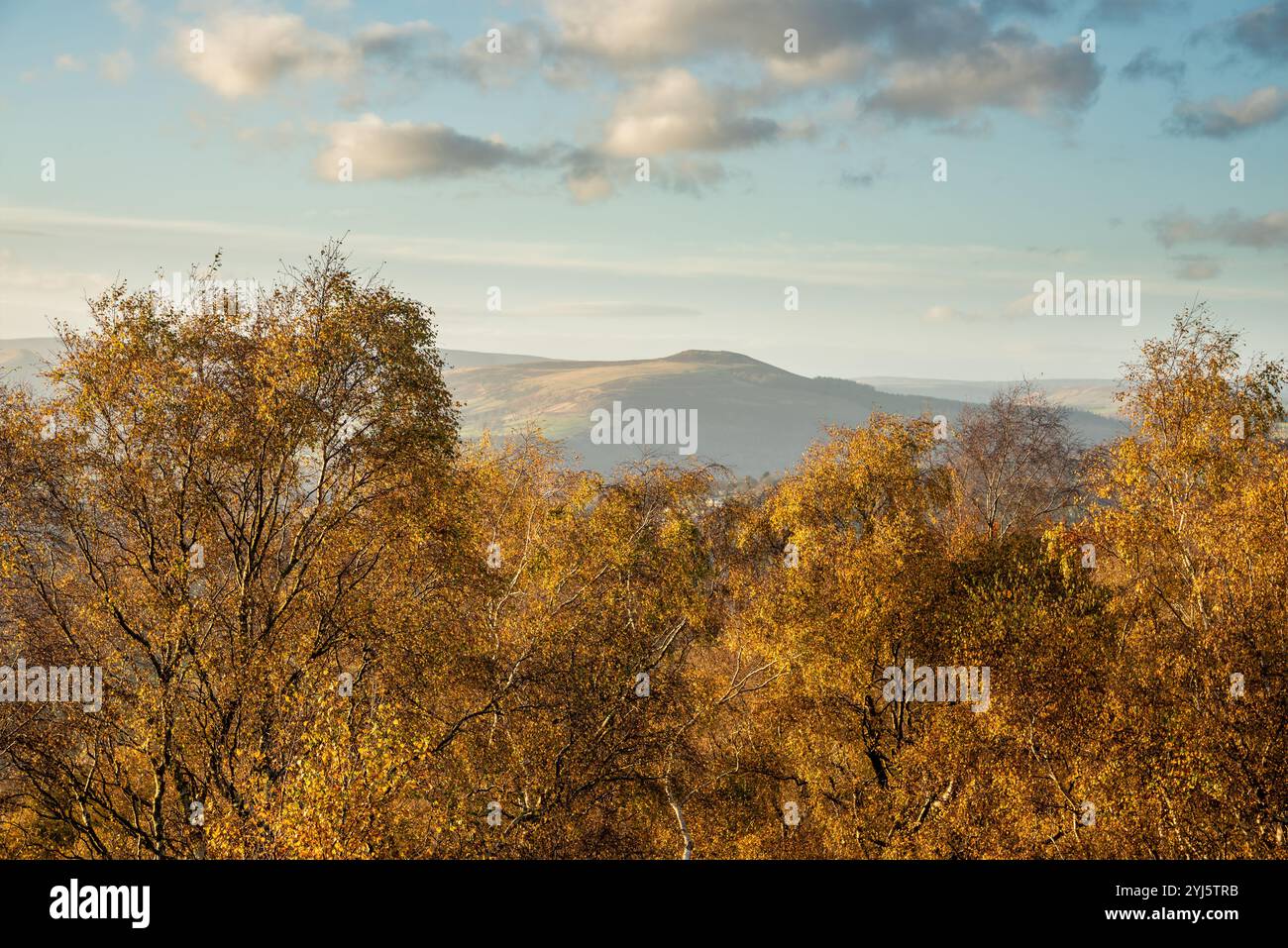 Beautiful Autumn Fall landscsape image of Peak District during peak ...
