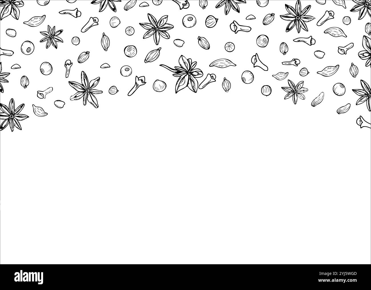 Cloves, star anises, cardamom, peppers and berries vector horizontal ...